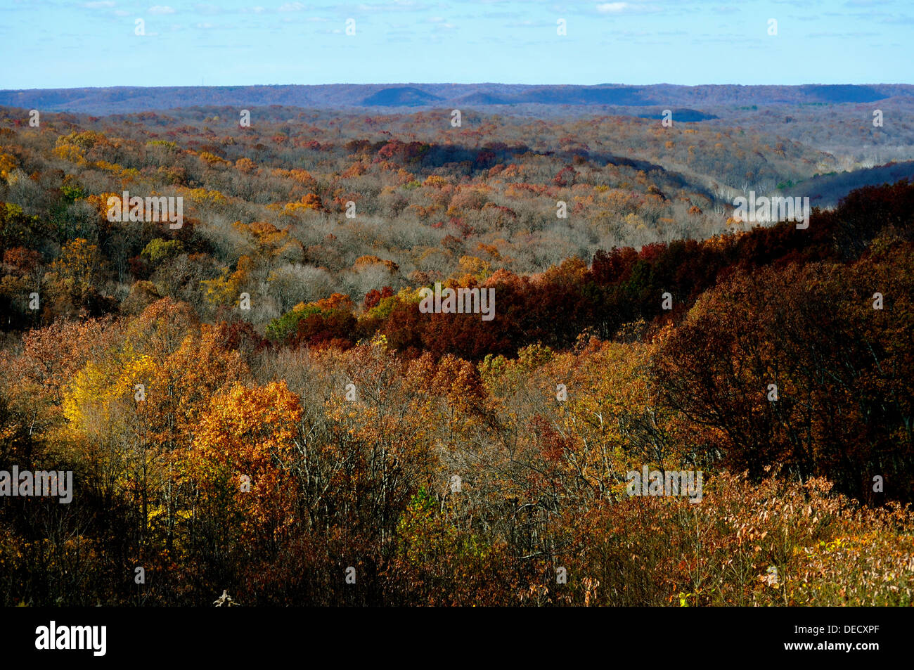 Brown County State Park Stock Photo - Alamy