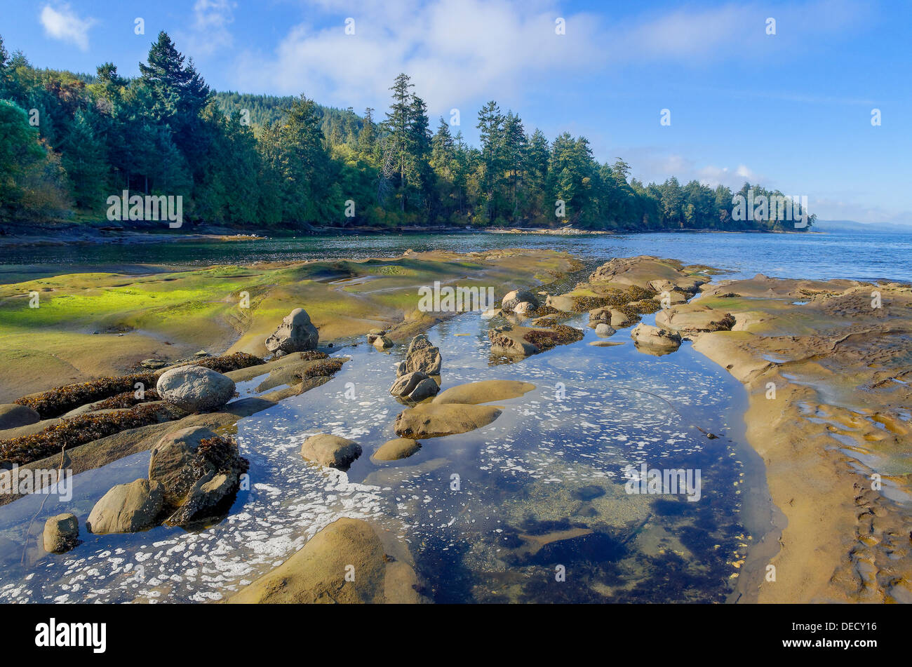 Rocks and tide pools, Cable Bay, Galiano Island, British Columbia ...
