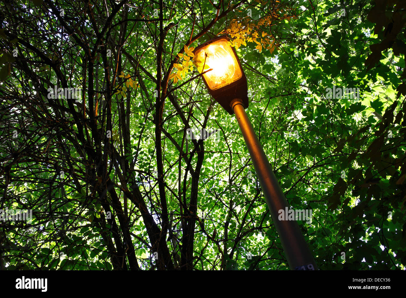 Berlin, Germany, streetlight lit on the day under the foliage of trees ...