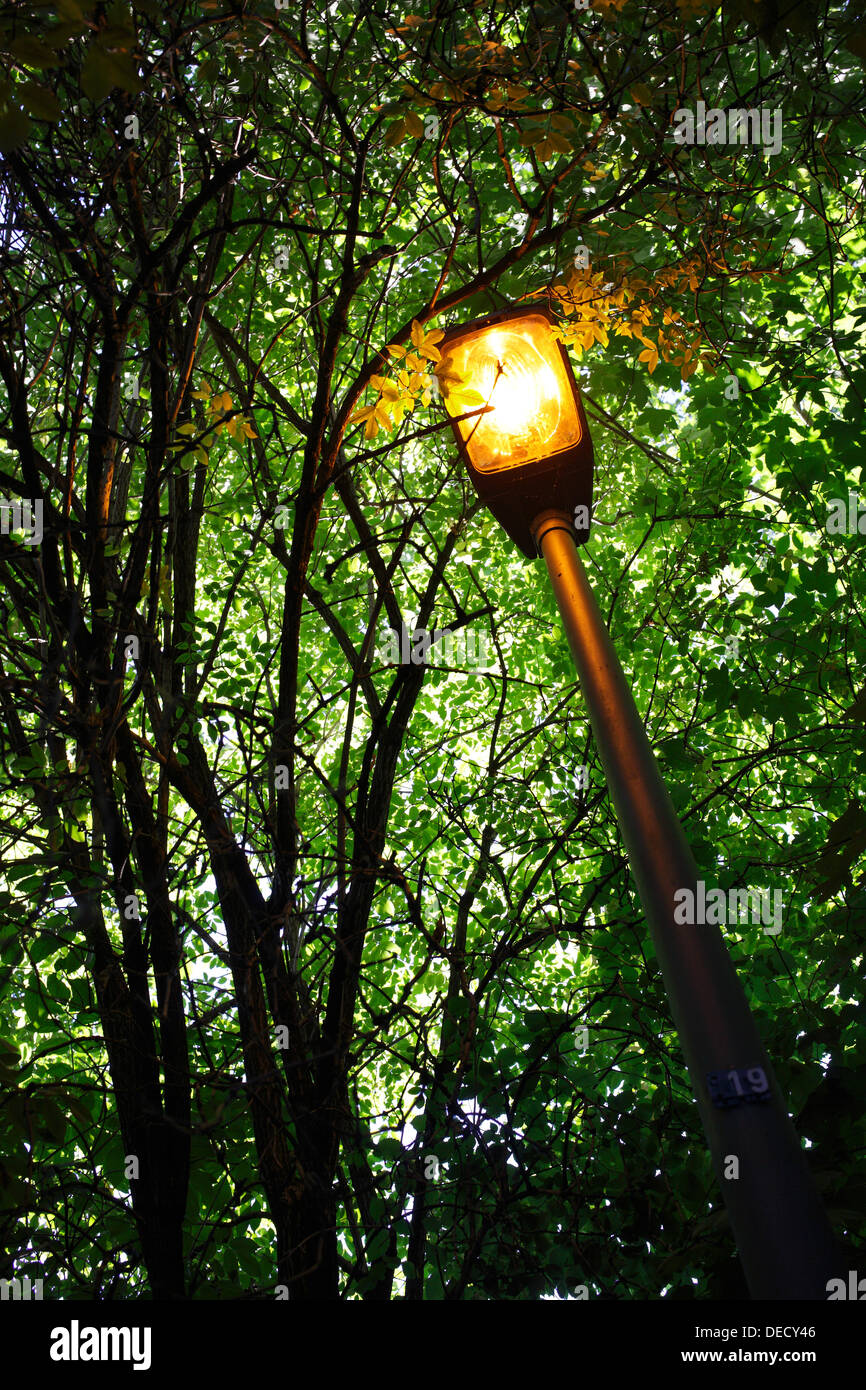 Berlin, Germany, streetlight lit on the day under the foliage of trees ...