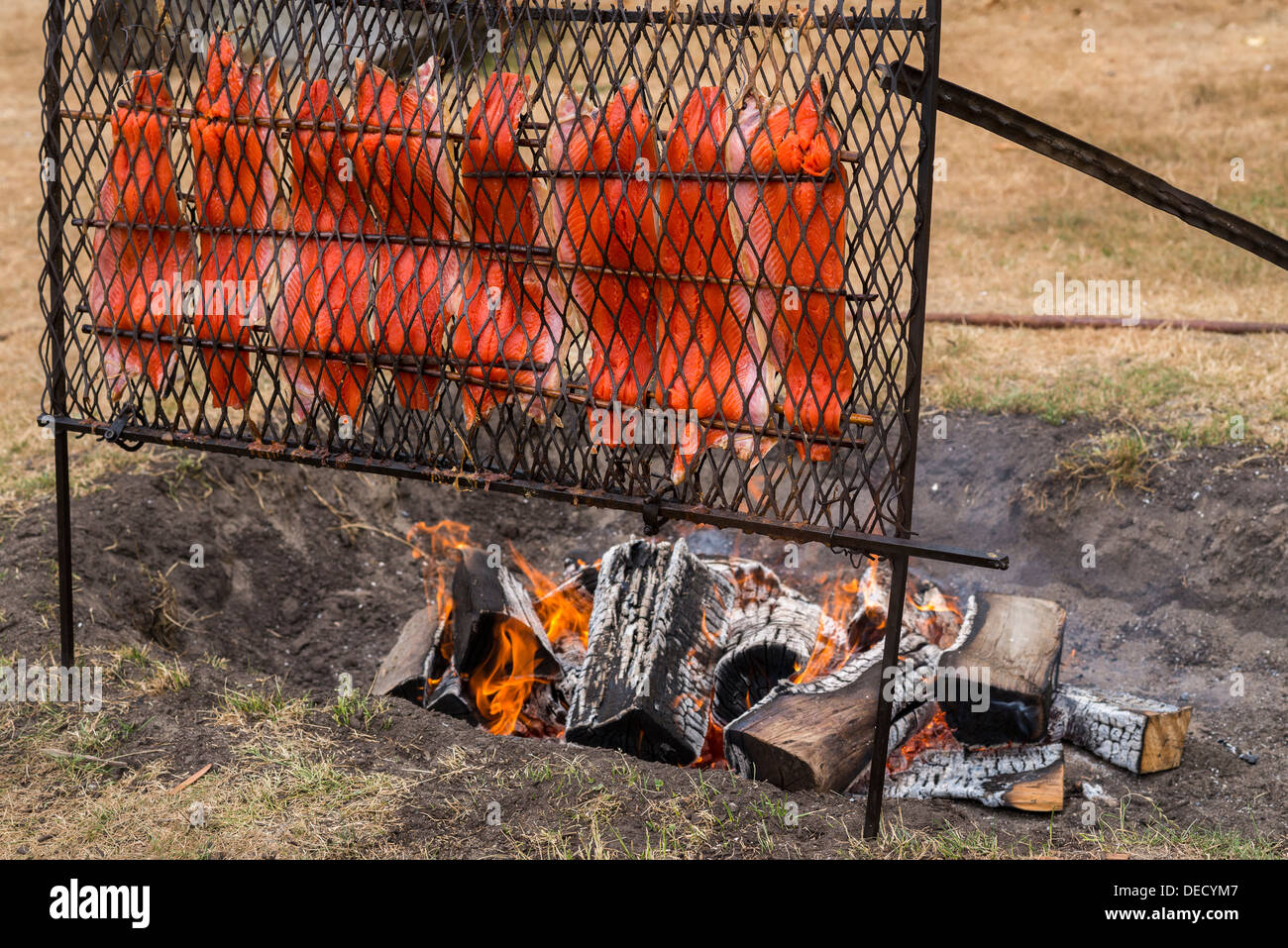 Salmon wood cooking fire traditional first nations bbq barbecue rack hi ...