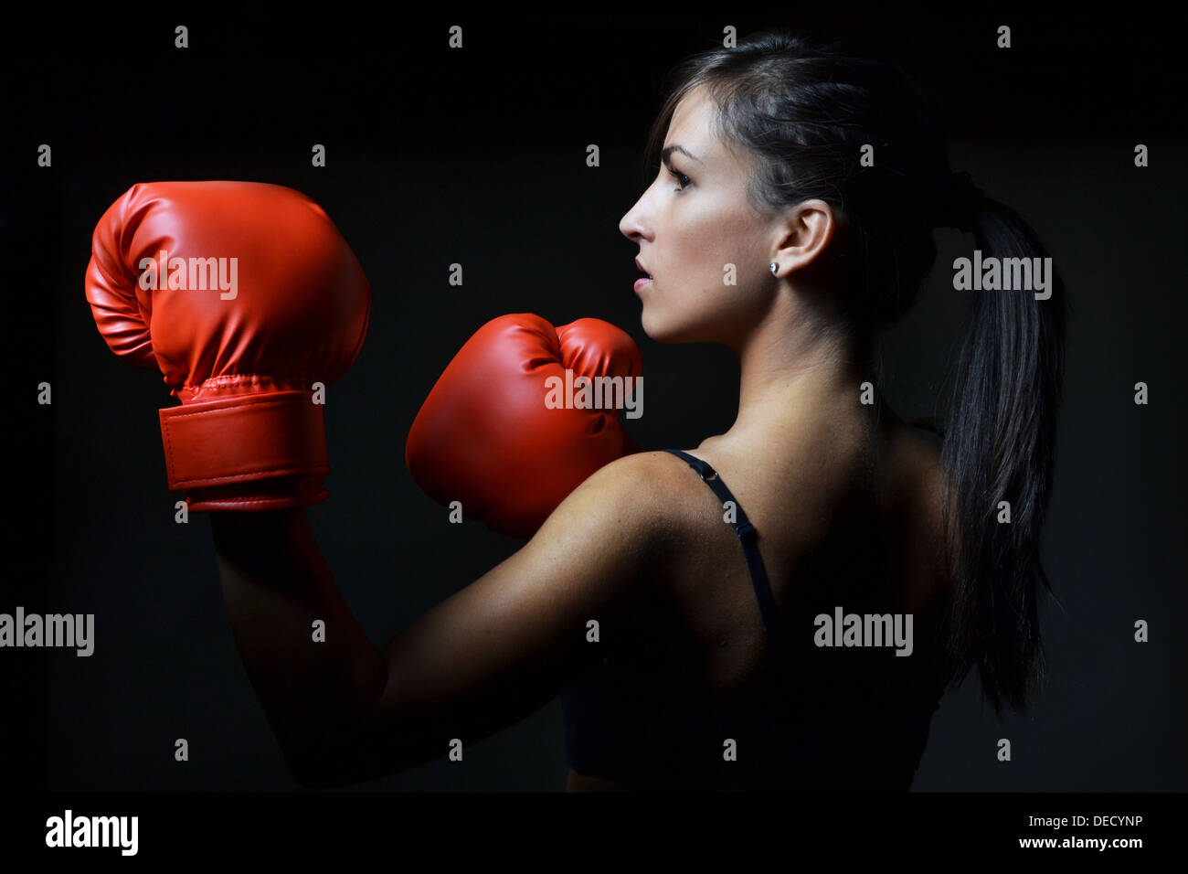 Beautiful female boxer training hi-res stock photography and images - Alamy