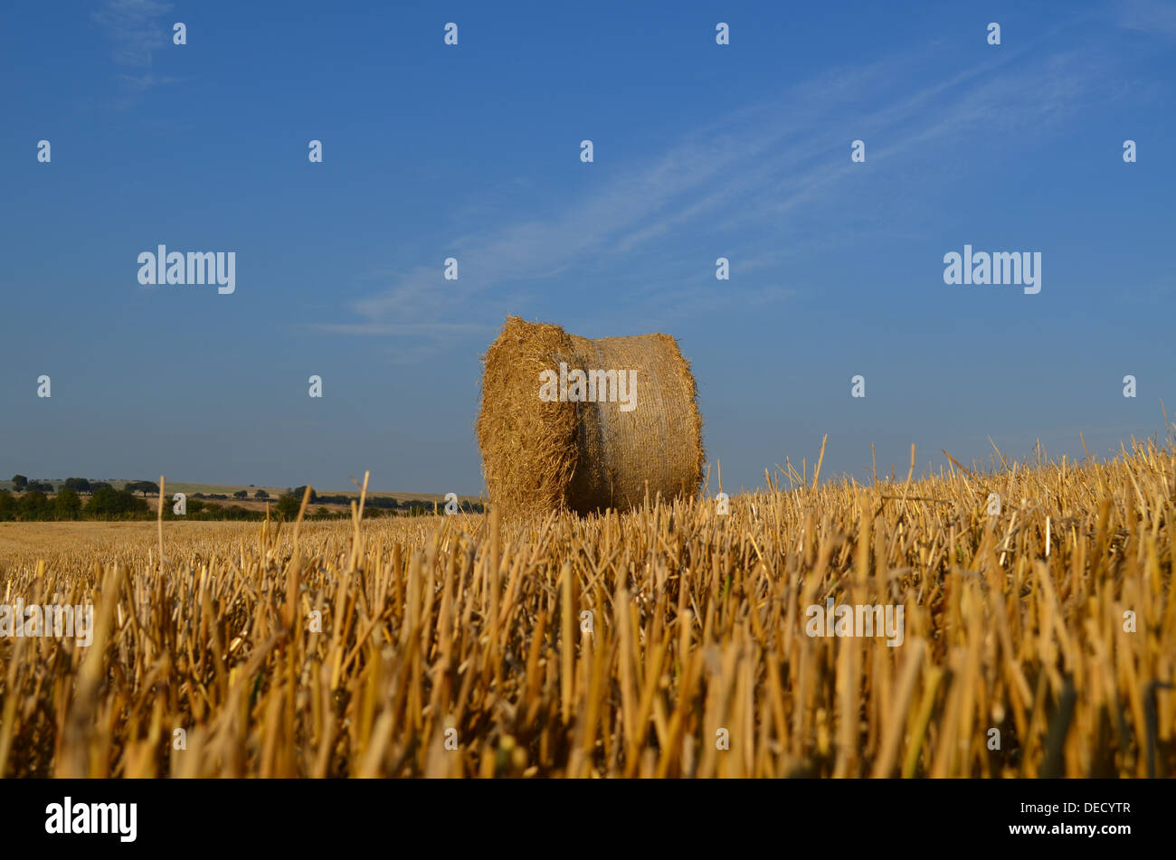 Round hay bale hi-res stock photography and images - Alamy