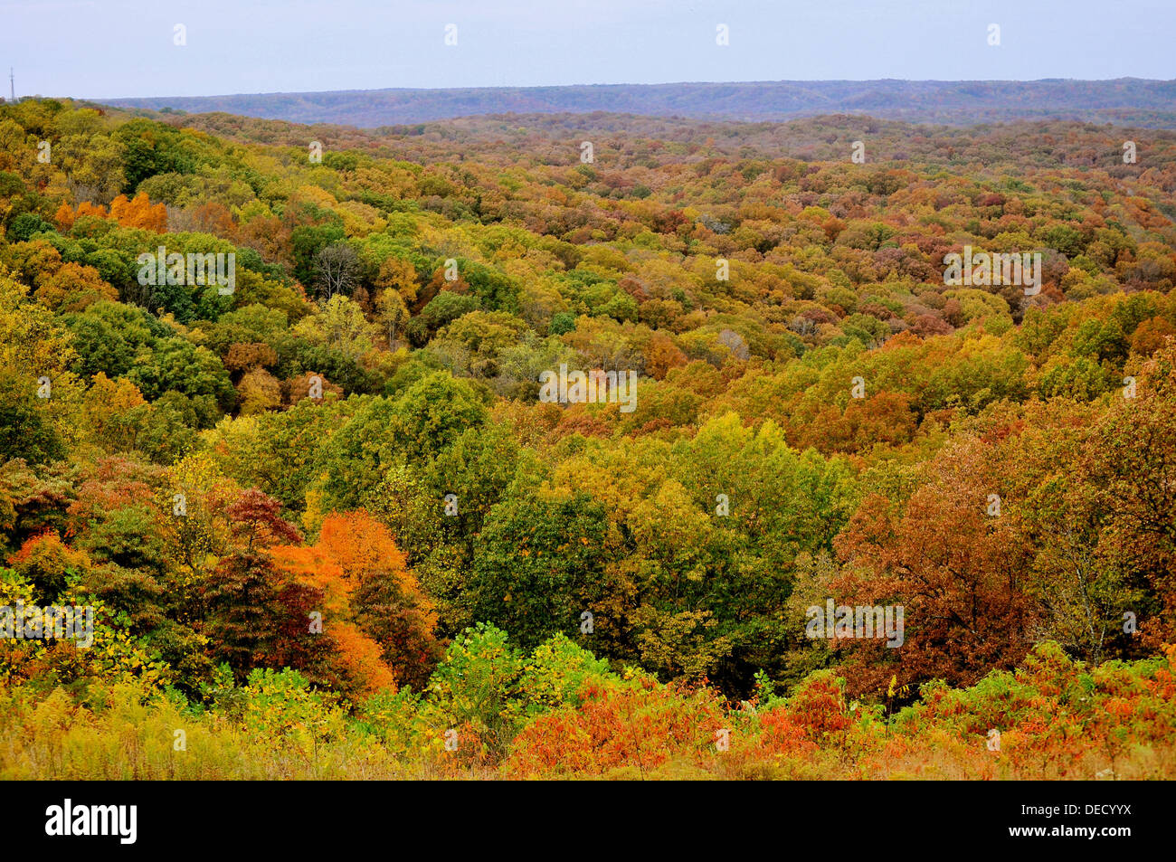 Fall foliage trees indiana county hi-res stock photography and images ...