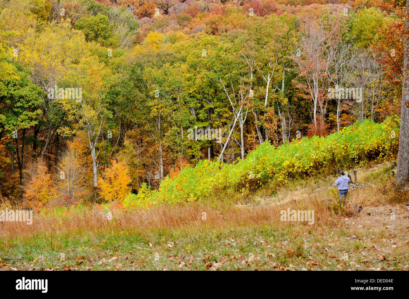 Brown County State Park Stock Photo - Alamy