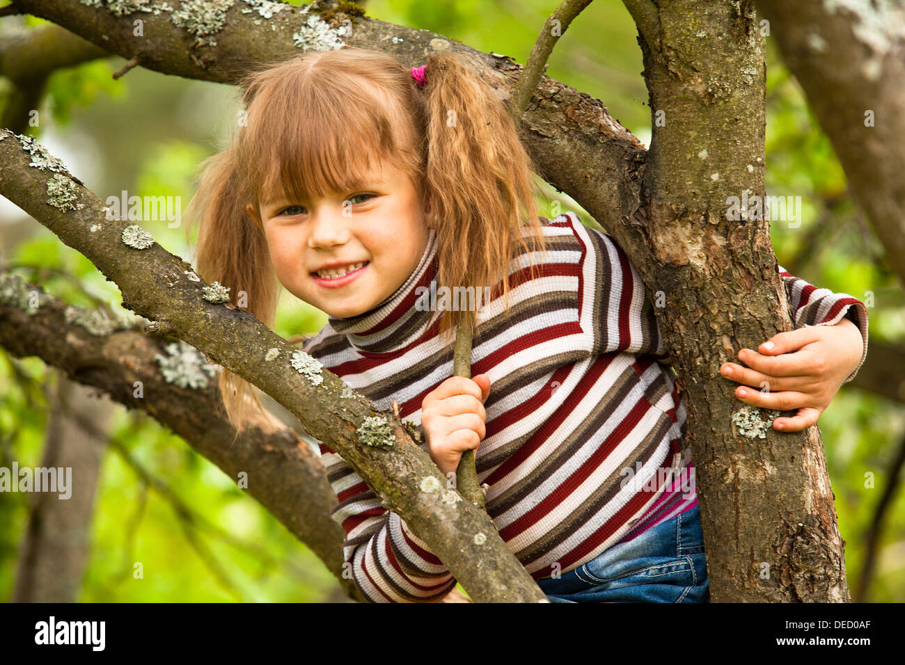 Lovely little girl posing sitting on a tree in the garden Stock Photo ...