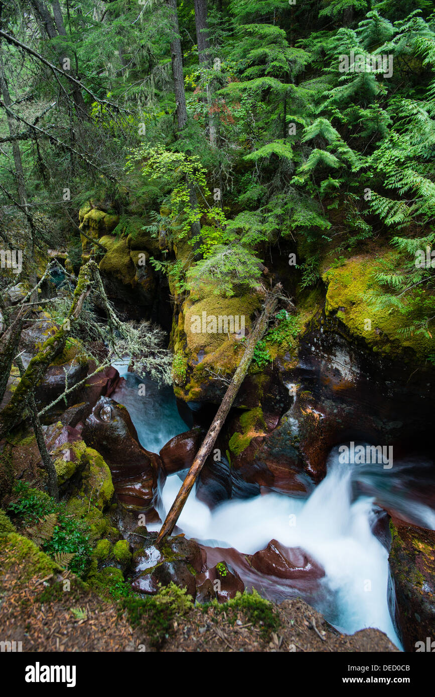 Photograph of a waterfall surrounded by a lush green northwestern rain ...