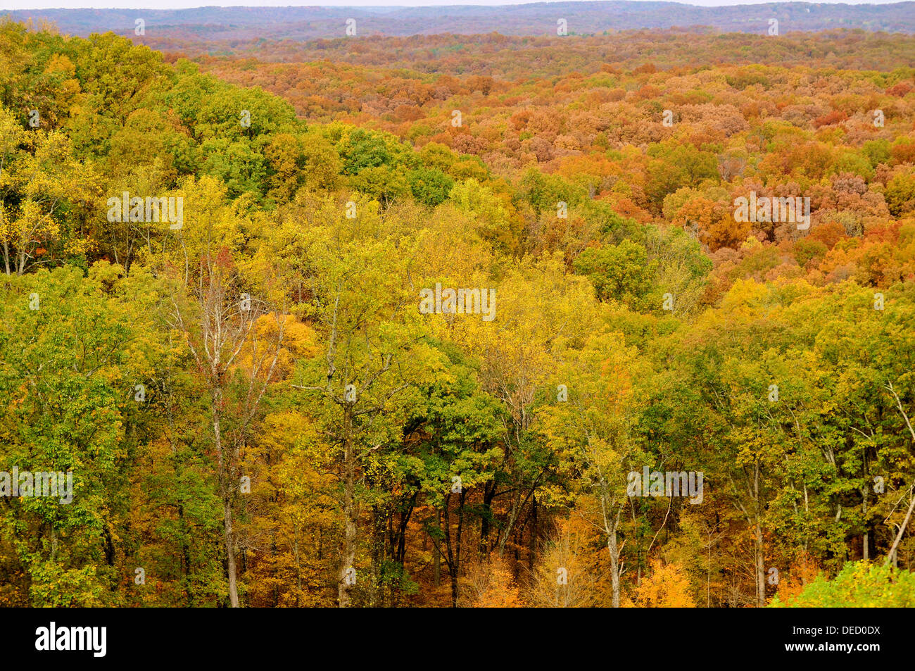 Fall Foliage Trees Indiana County High Resolution Stock Photography and ...