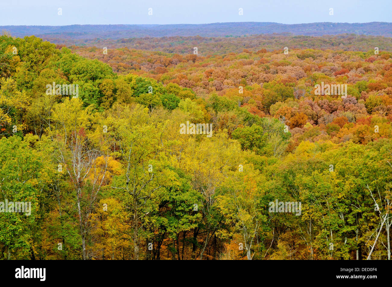 Brown County State Park Stock Photo - Alamy