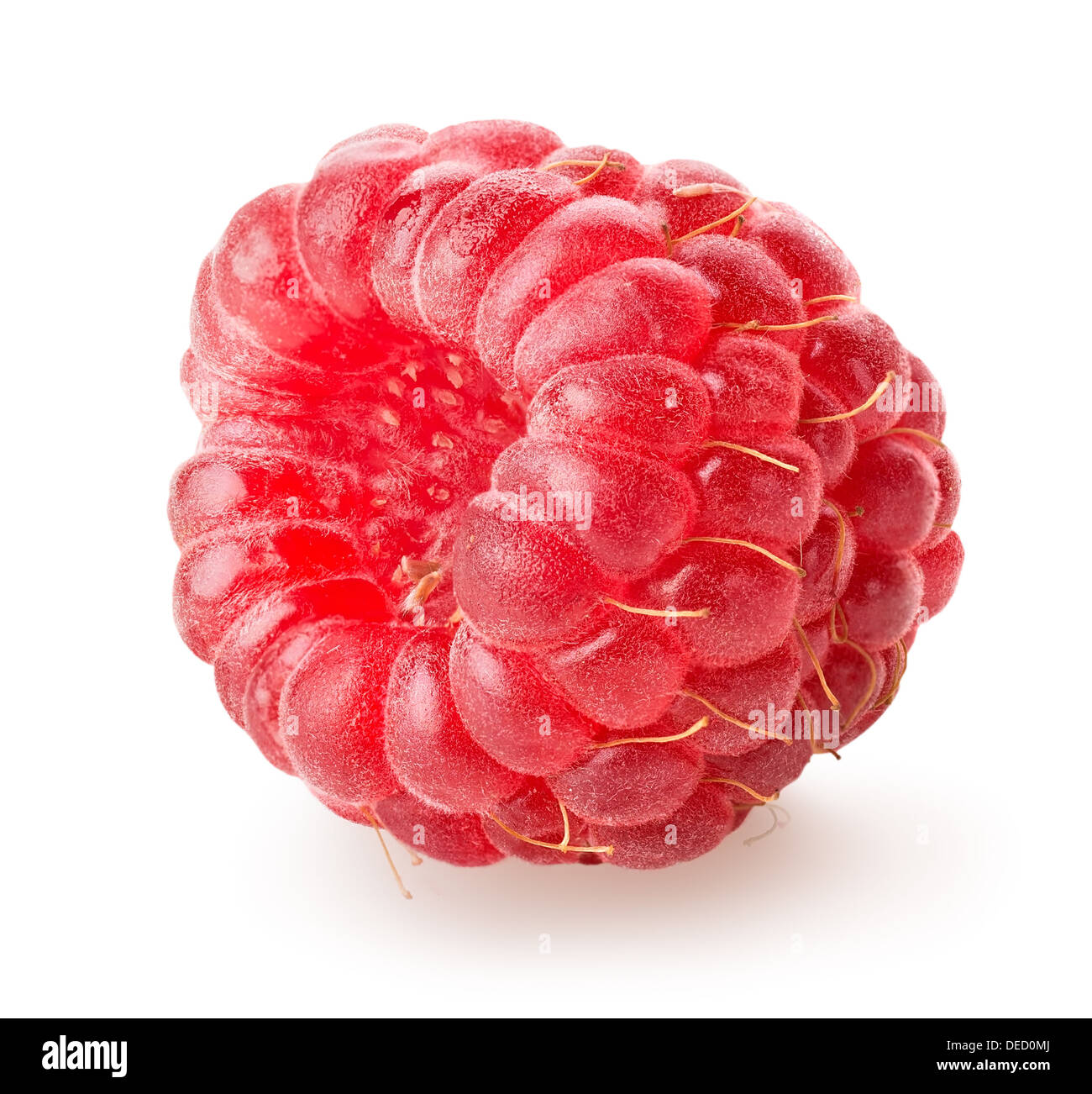 Juicy raspberry isolated on a white background Stock Photo - Alamy