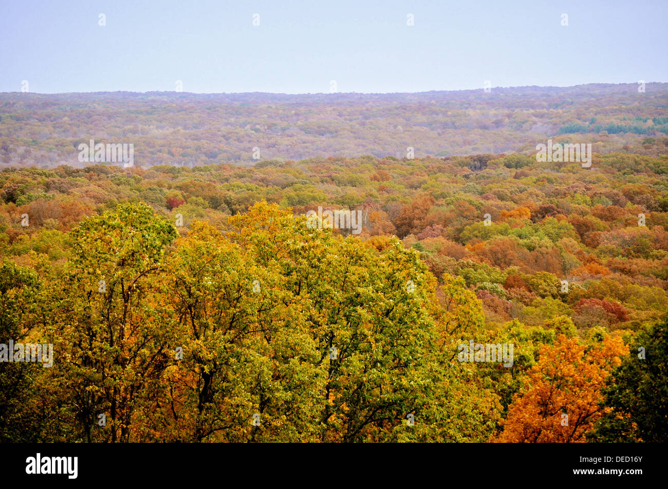 Brown county state park indiana hi-res stock photography and images - Alamy