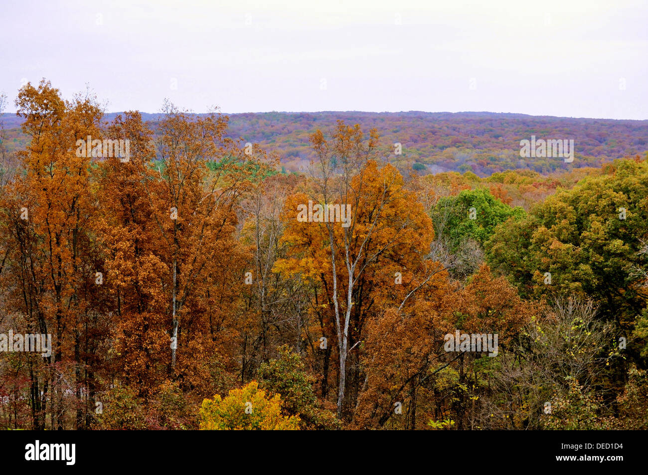 Brown County State Park Stock Photo - Alamy