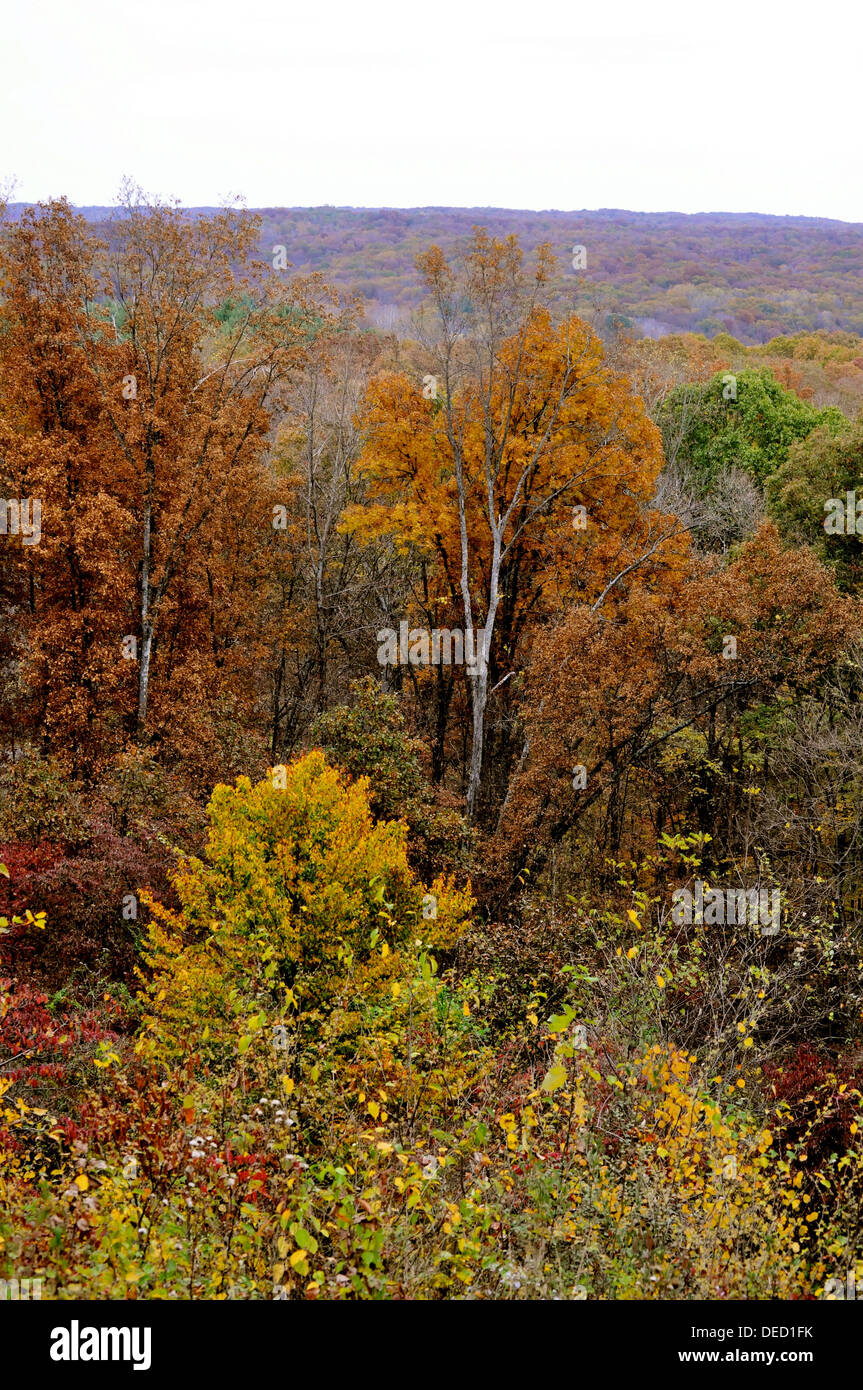 Brown County State Park Stock Photo - Alamy