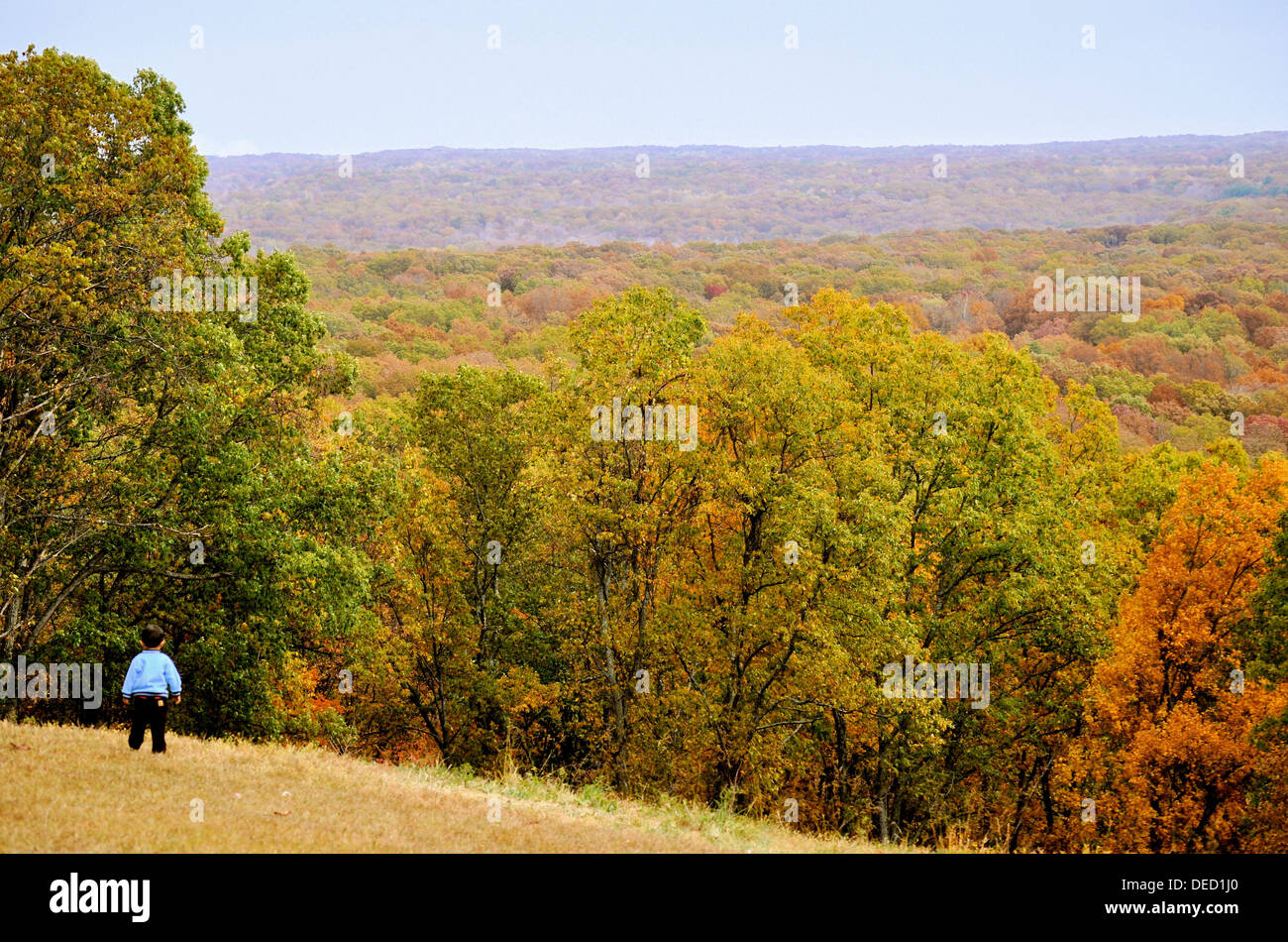 Brown County State Park Stock Photo - Alamy
