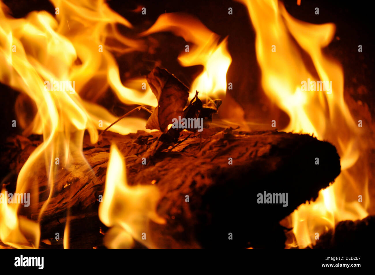 Fall flames hi-res stock photography and images - Alamy
