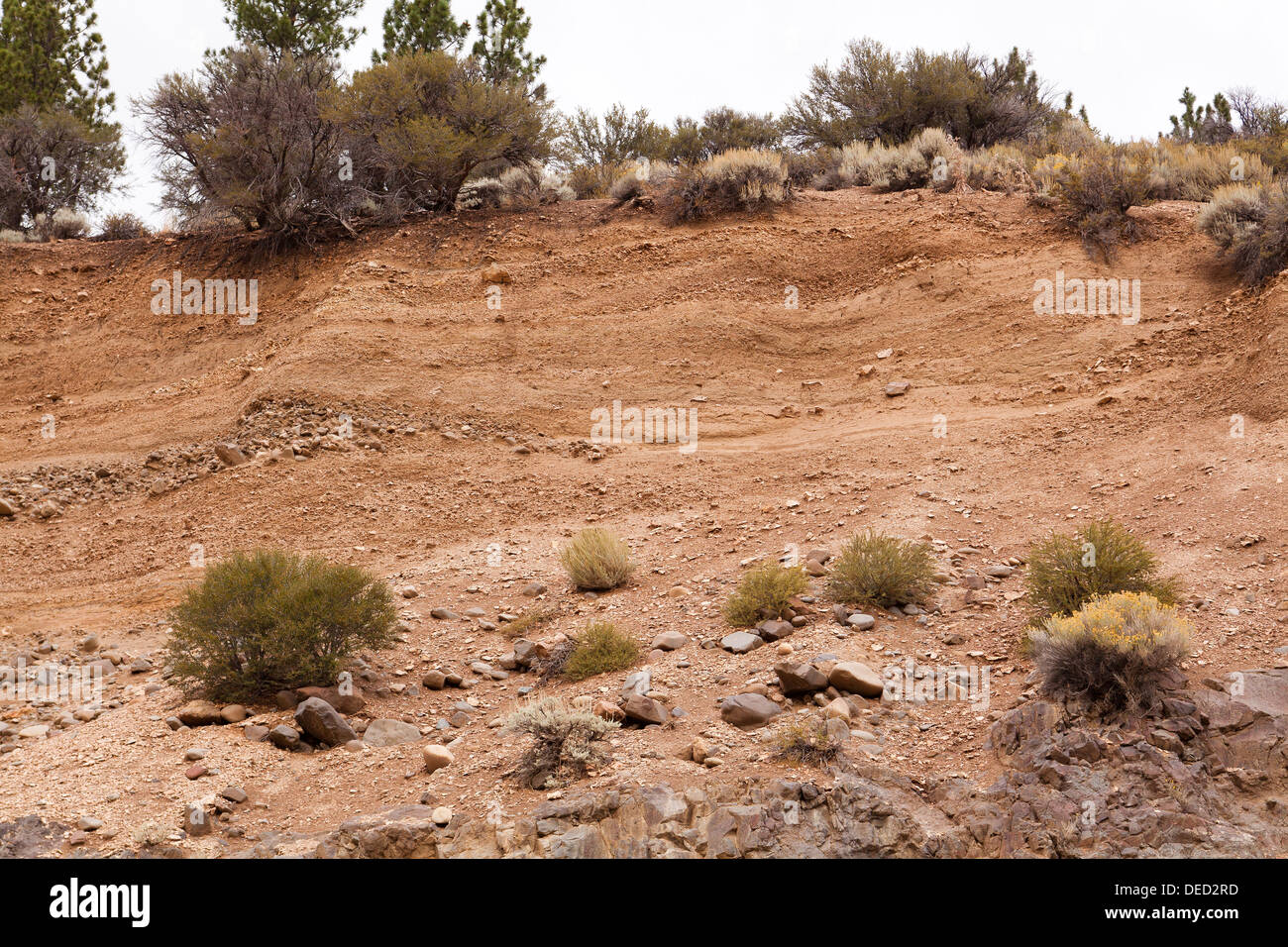 Exposed sedimentary soil layers - California USA Stock Photo - Alamy