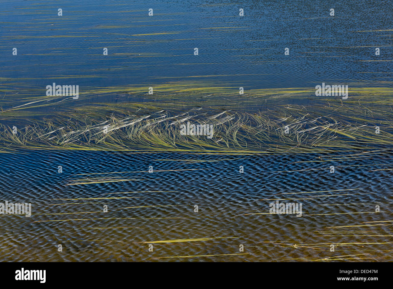 Thures hi-res stock photography and images - Alamy
