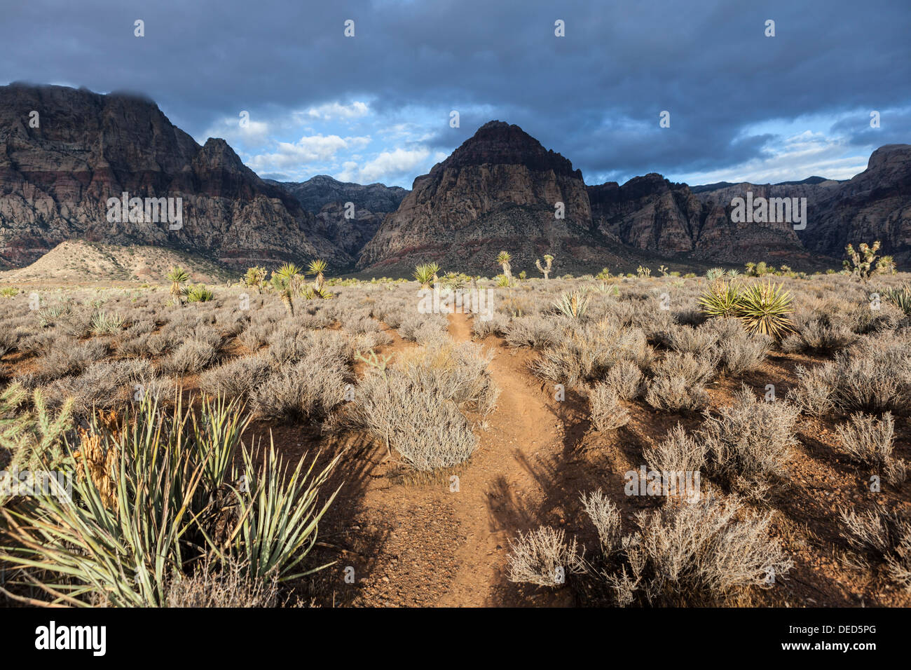 Rock formation mojave desert hi-res stock photography and images - Alamy