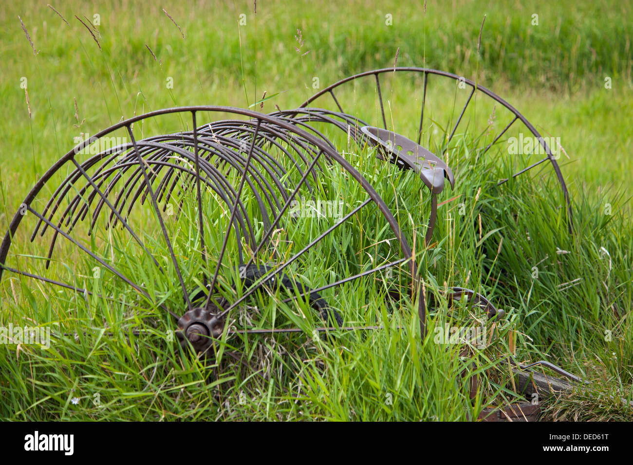 Hay rake hi-res stock photography and images - Alamy