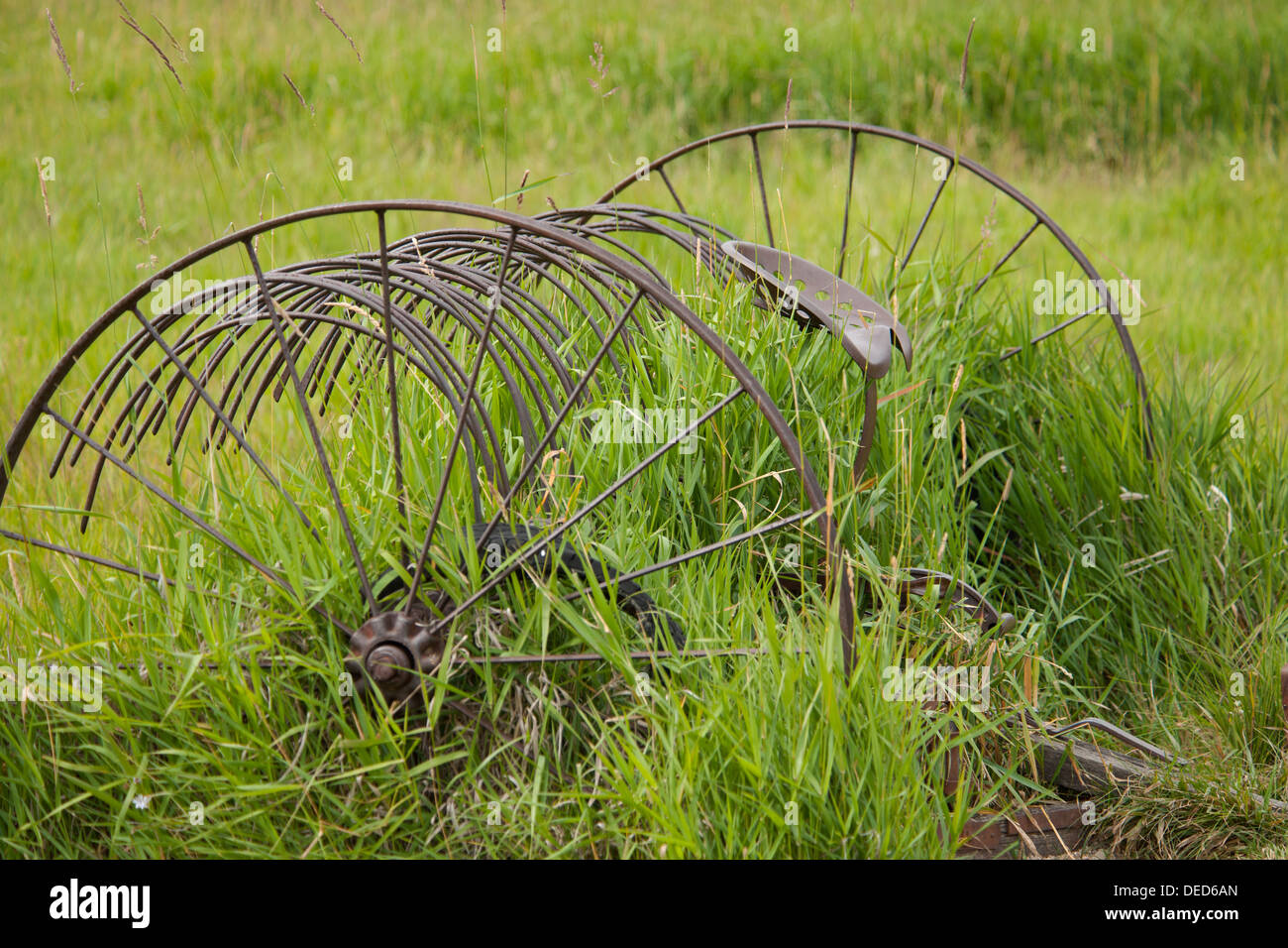 Hay rake hi-res stock photography and images - Alamy
