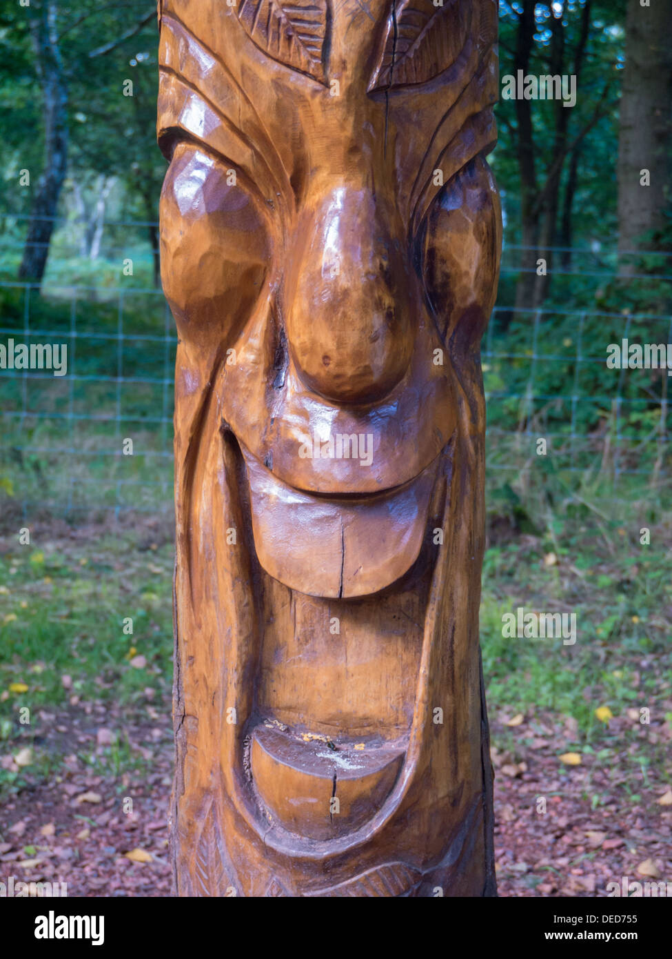 Wooden Carving of a smiling face at the Sherwood forest visitor center ...