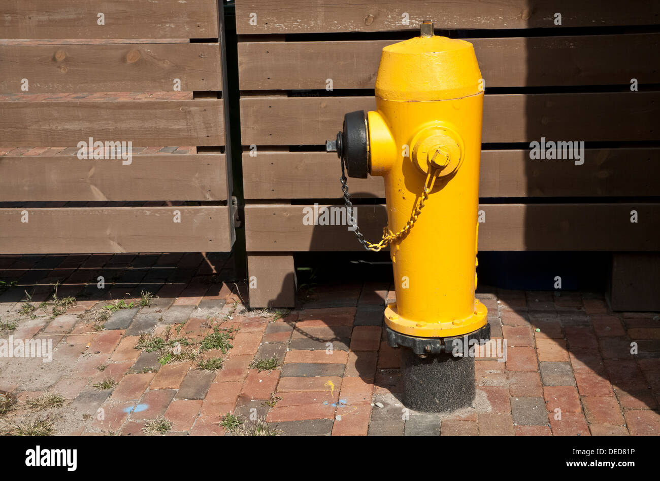 Yellow fire hydrant, Toronto, Canada Stock Photo - Alamy