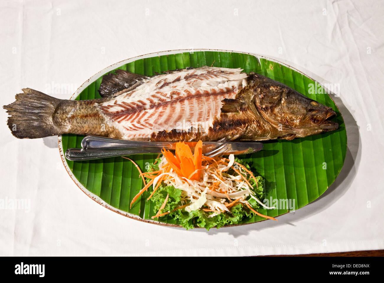 Jack fish hi-res stock photography and images - Alamy