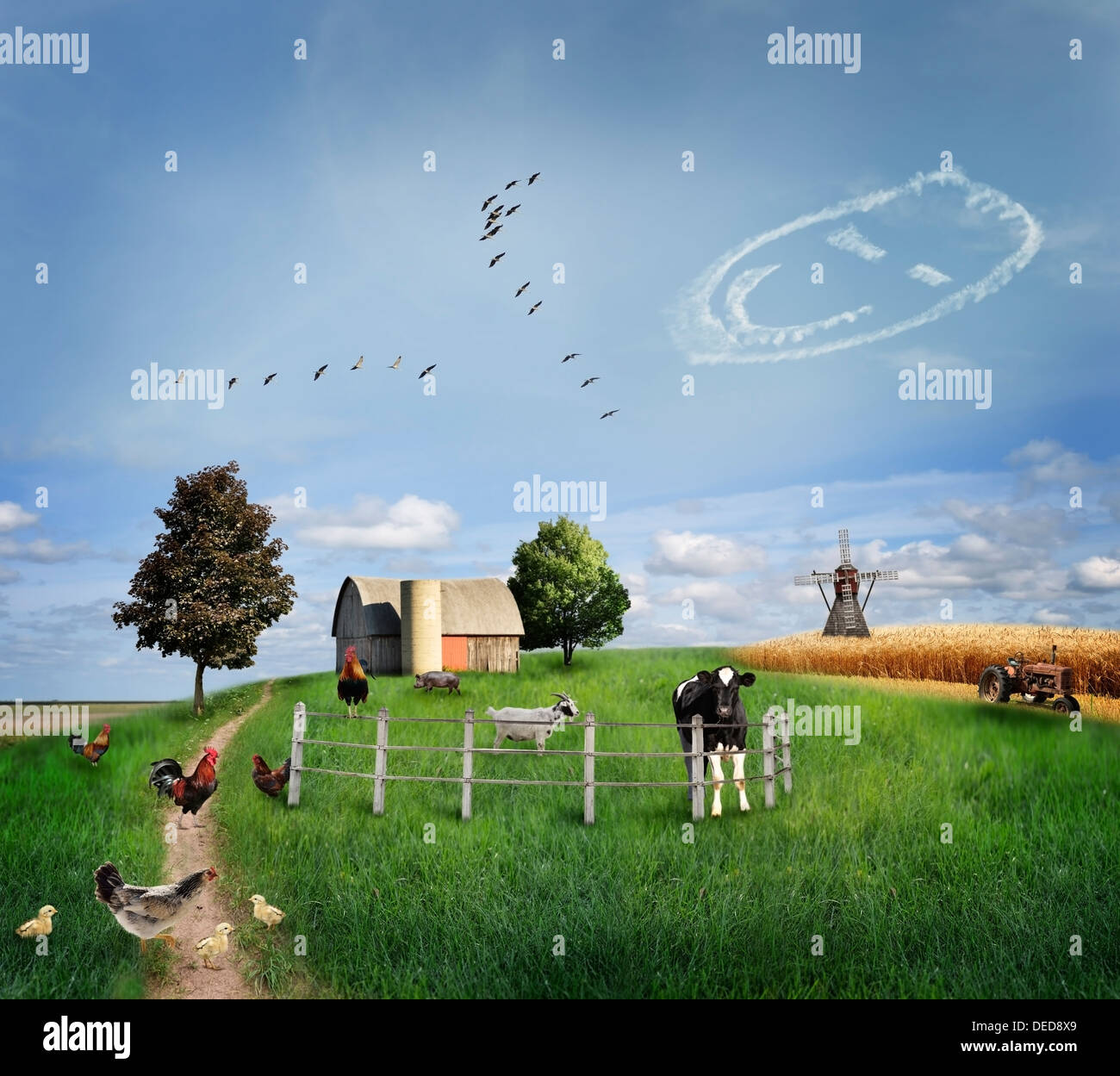 Farm animal farm animals hi-res stock photography and images - Alamy