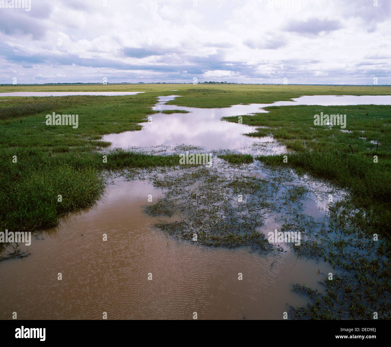 Llanos apure venezuela hi-res stock photography and images - Alamy