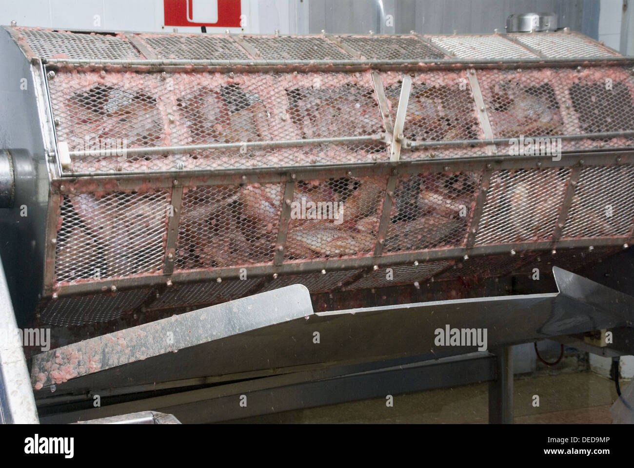 Guayaquil Ecuador Shrimp High Resolution Stock Photography and Images ...
