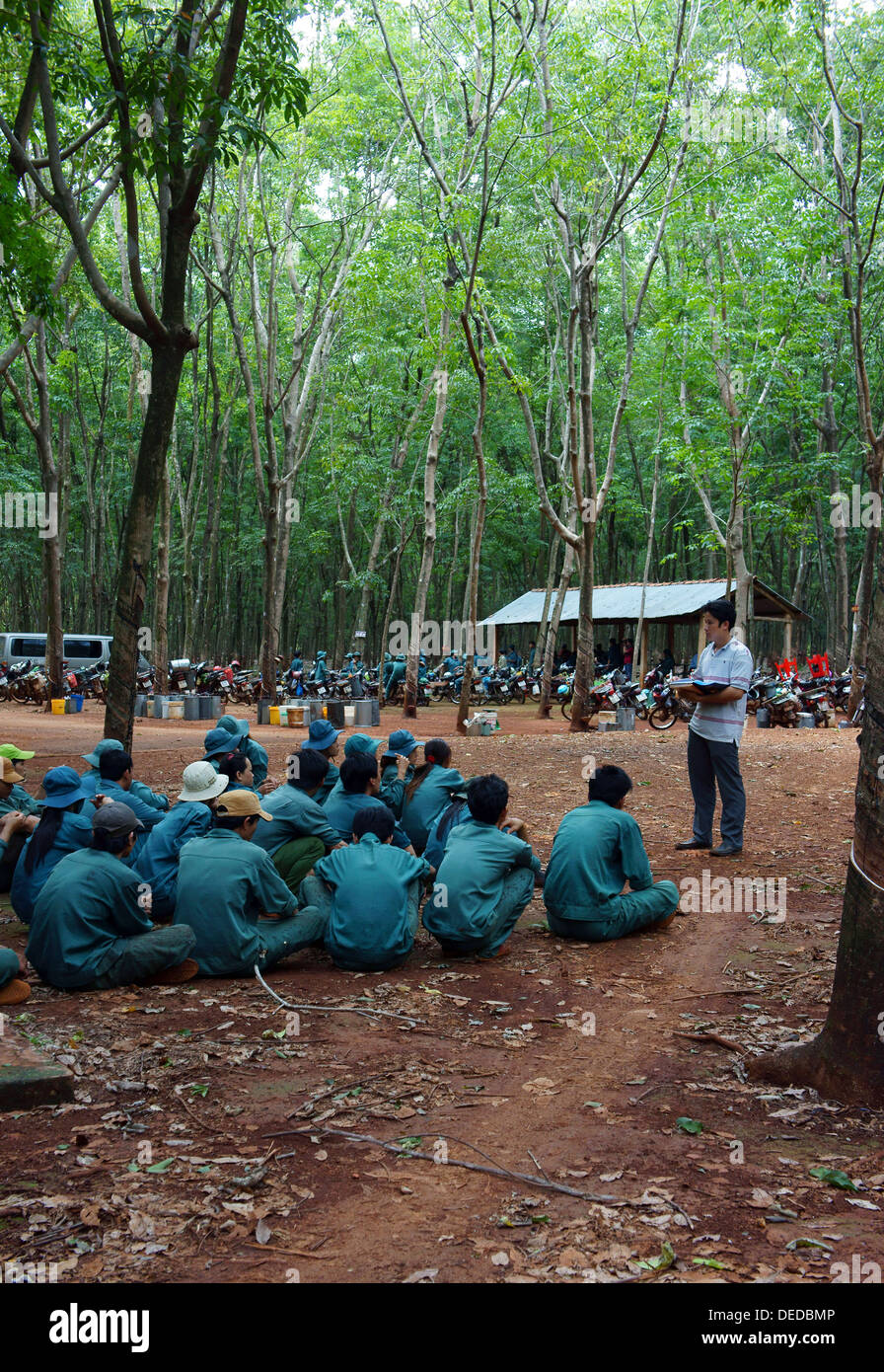 Rubber worker meeting after working session at rubber plantation Stock ...