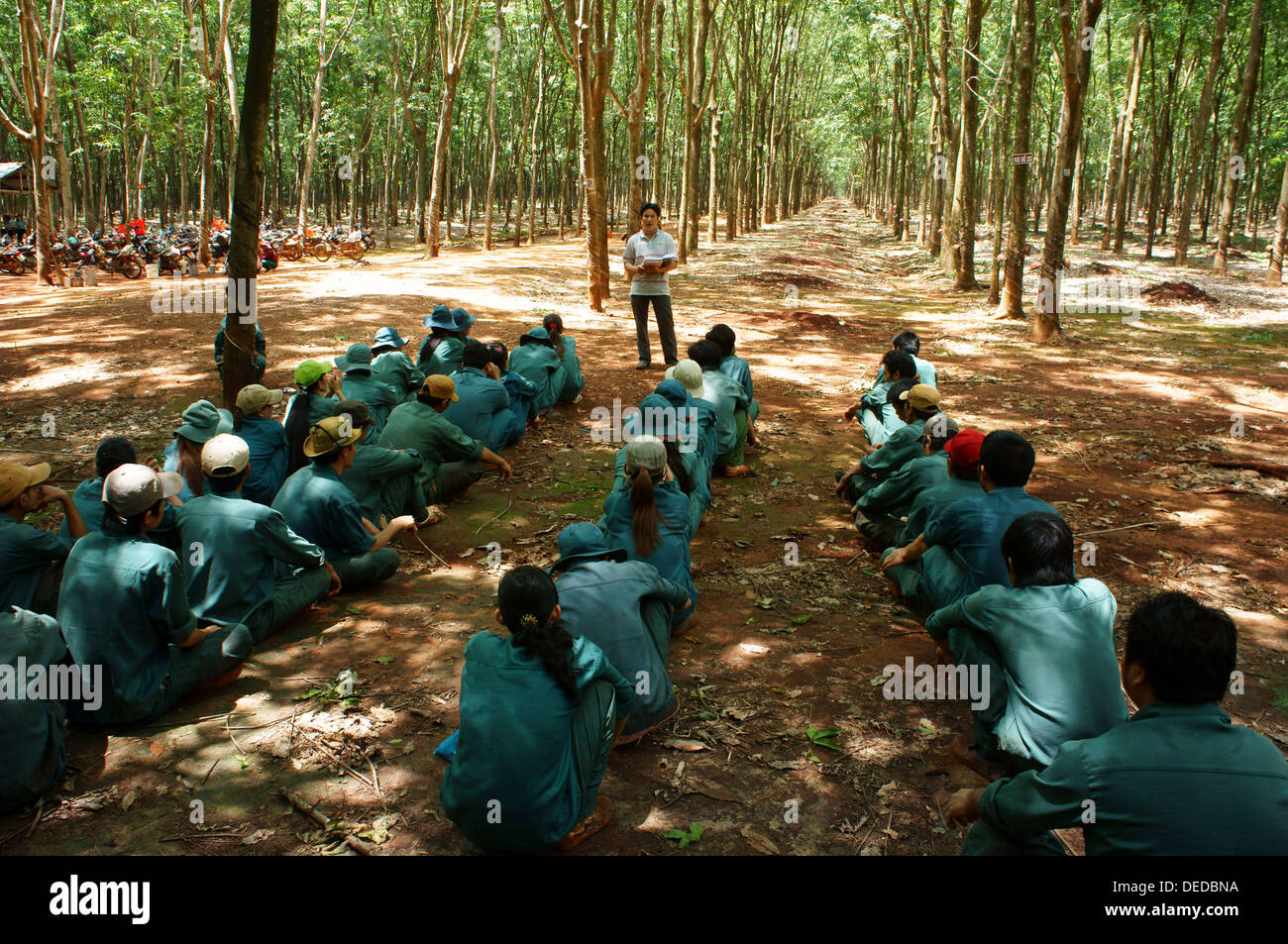Rubber worker meeting after working session at rubber plantation Stock ...