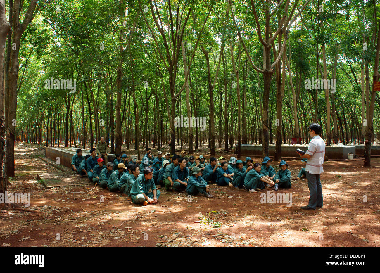 Rubber worker meeting after working session at rubber plantation Stock ...