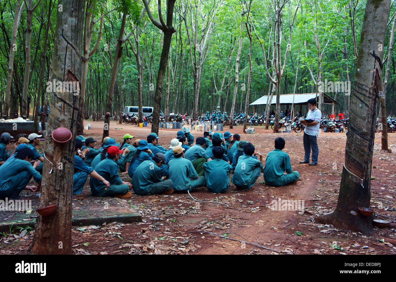Rubber worker meeting after working session at rubber plantation Stock ...