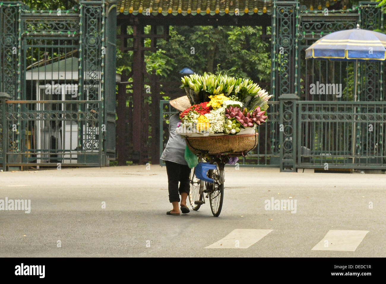 flower vendor in Hanoi, Vietnam Stock Photo - Alamy