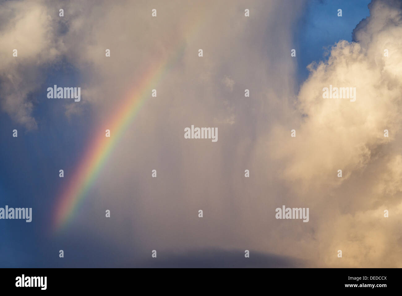 Atmospheric evening in india hi-res stock photography and images - Alamy