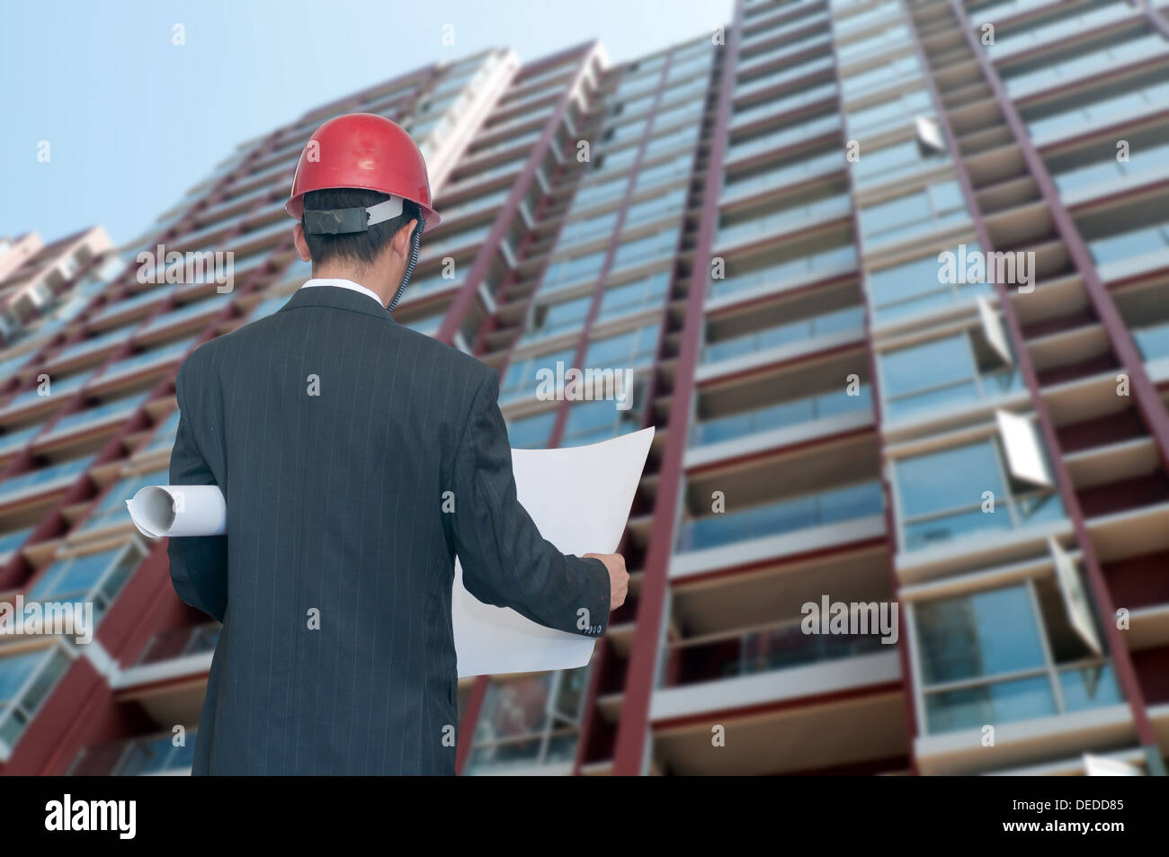 Rear view of architect looking comparing housing project with building ...