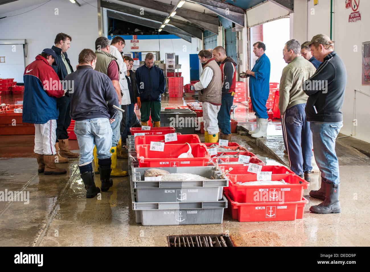 Newlyn Fish Market High Resolution Stock Photography and Images - Alamy