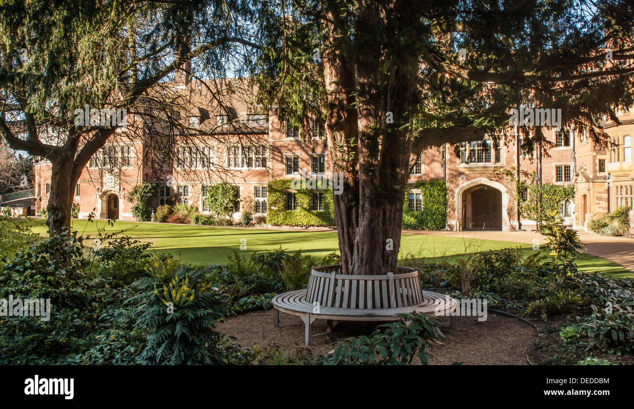 Trinity College Cambridge High Resolution Stock Photography and Images ...