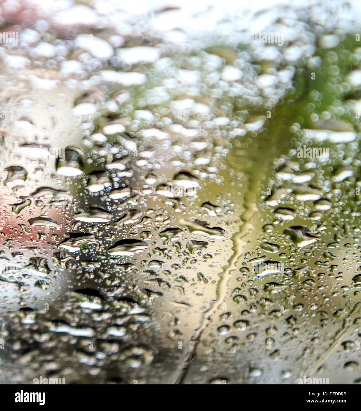 Drops on window Stock Photo - Alamy