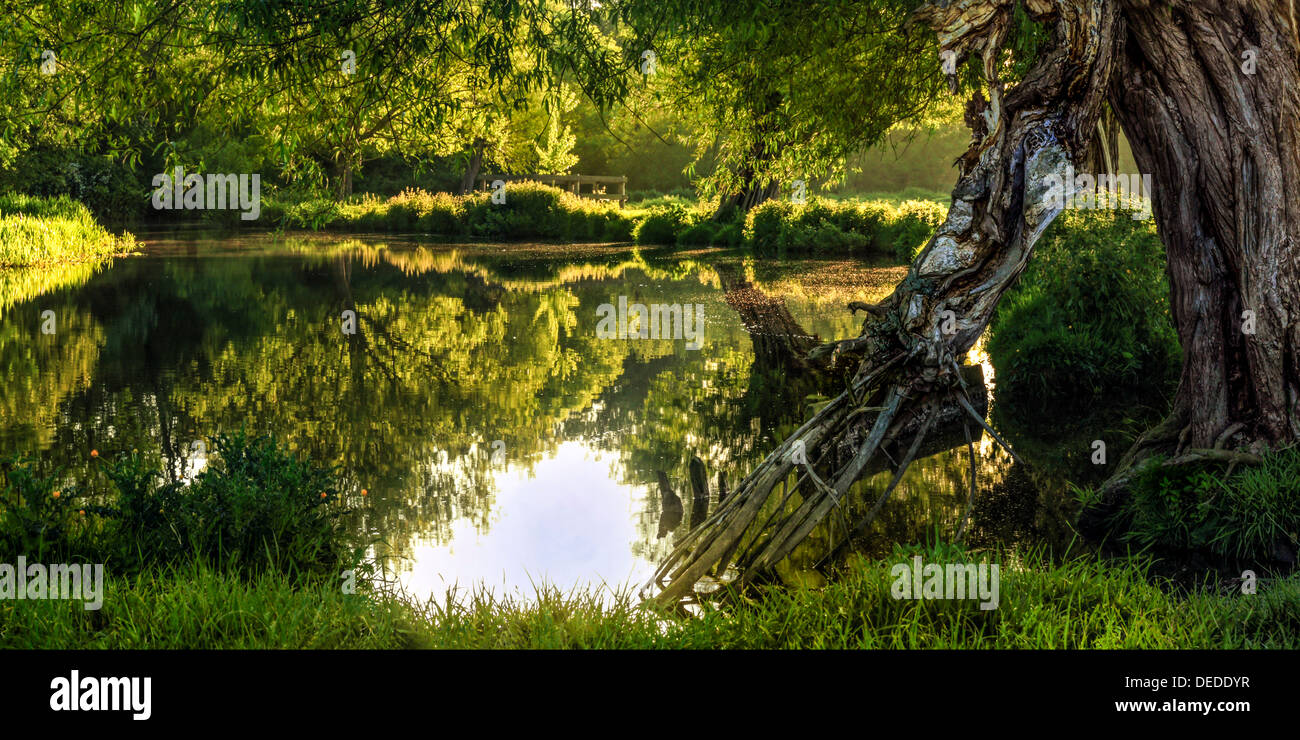 English country scene with river hi-res stock photography and images ...