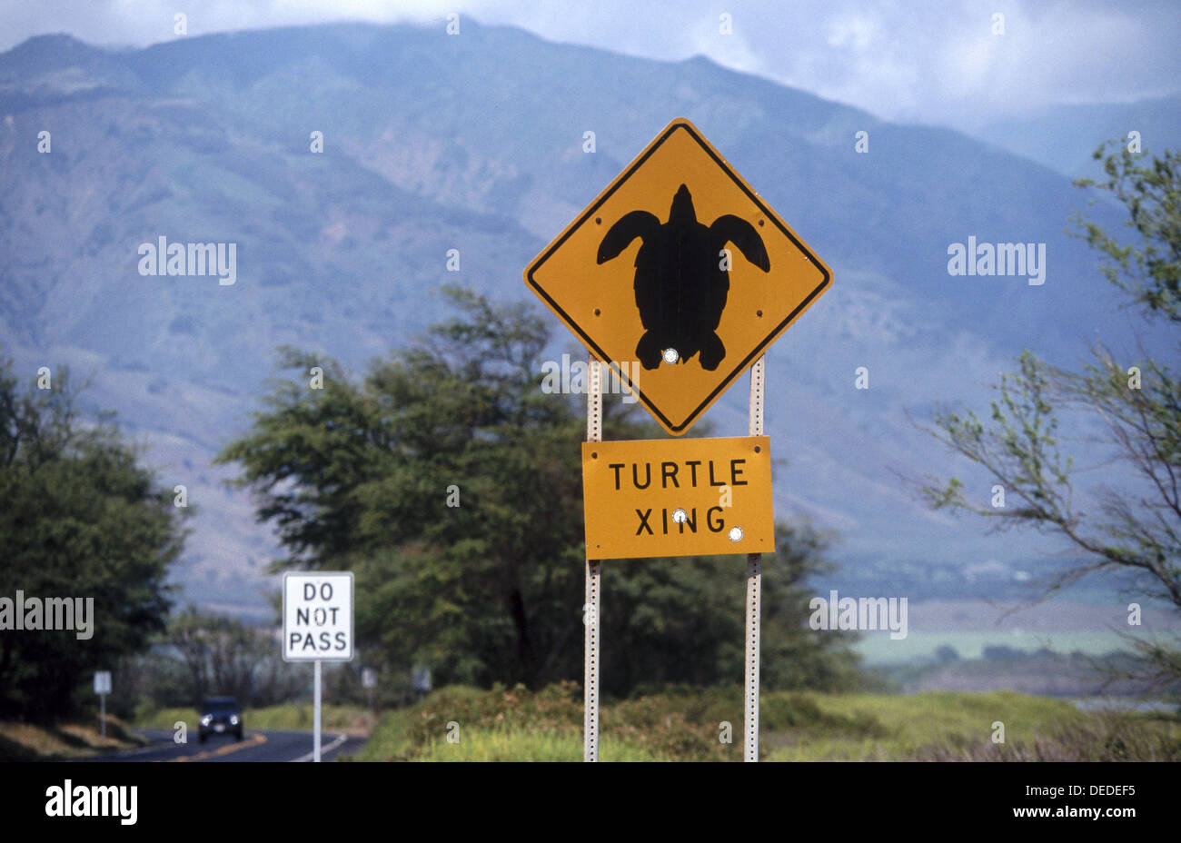 Turtle crossing sign hi-res stock photography and images - Alamy
