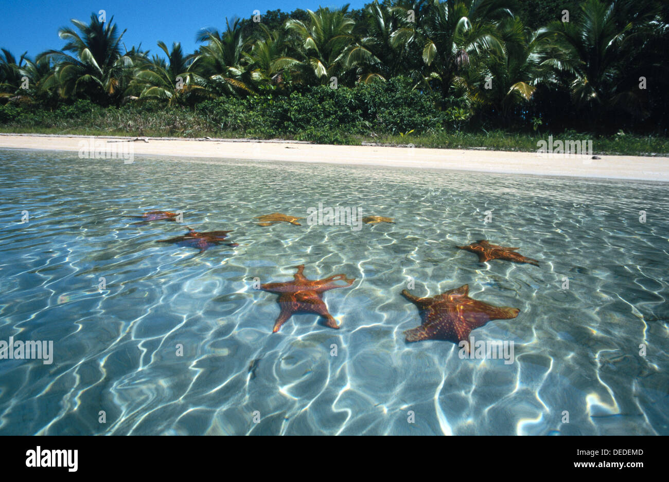 Colon Island. Bocas del Toro. Panama Stock Photo - Alamy