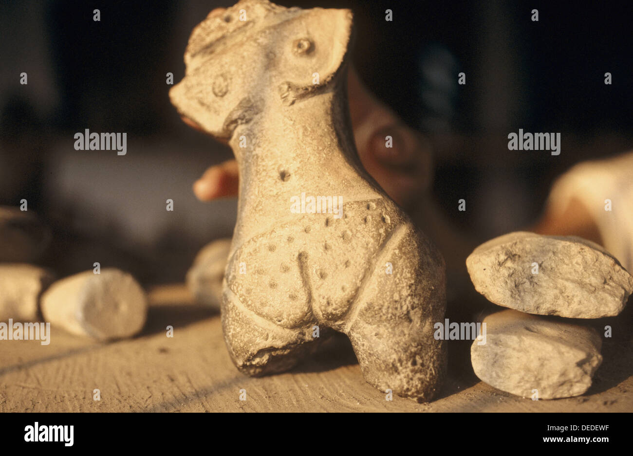Llanos de moxos hi-res stock photography and images - Alamy