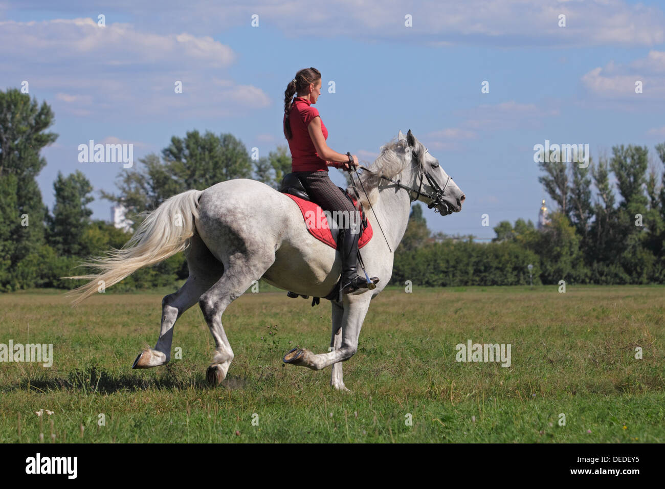 Dressage field hi-res stock photography and images - Alamy