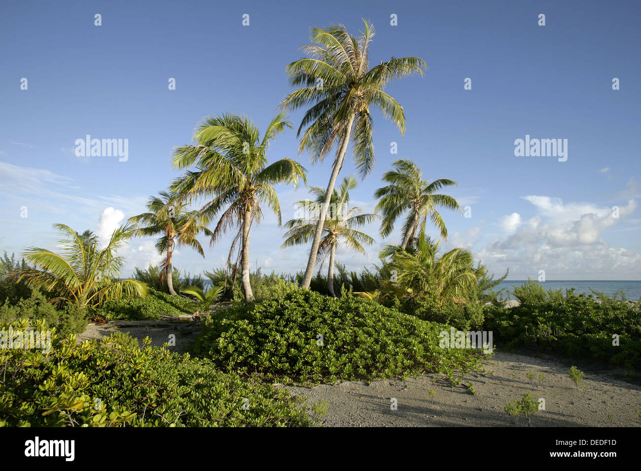 Polynesia archipelago hi-res stock photography and images - Alamy