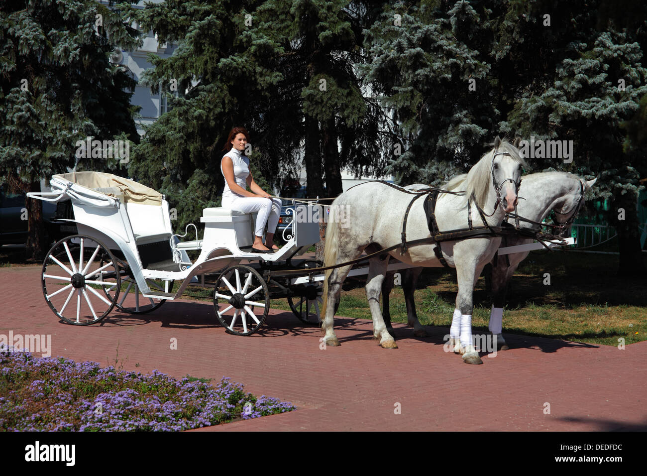 Wedding carriage in Russia Stock Photo - Alamy