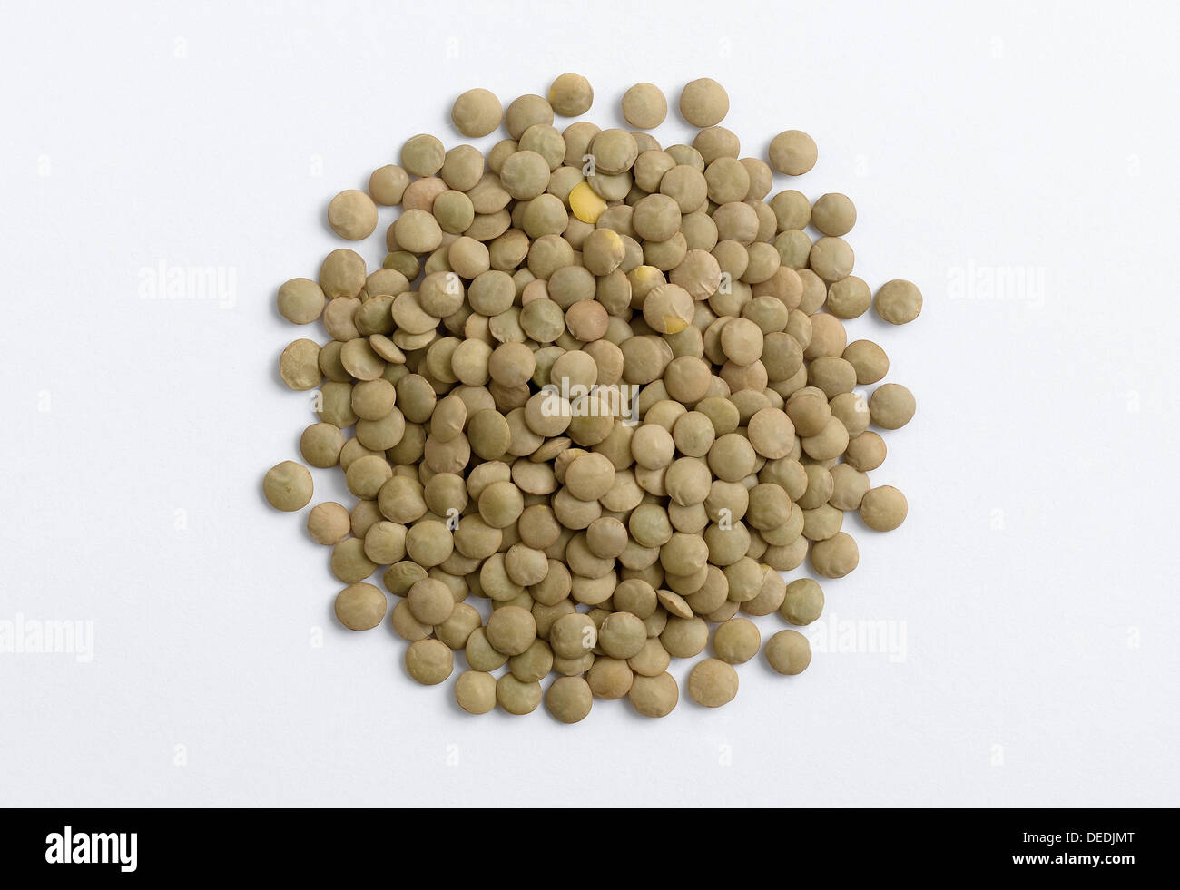 legume type on white background Stock Photo - Alamy