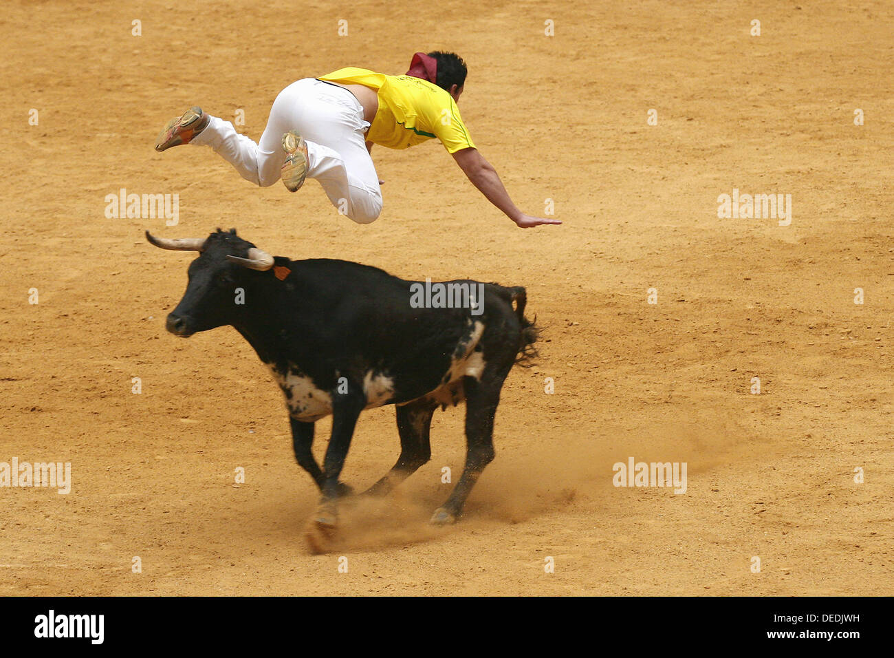 Recortador (bull-leaper), Spain Stock Photo - Alamy