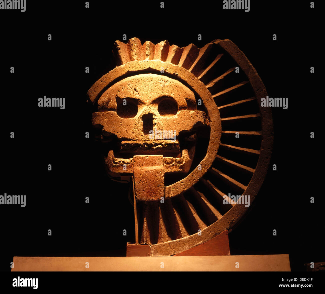 Human skull representation High Resolution Stock Photography and Images ...